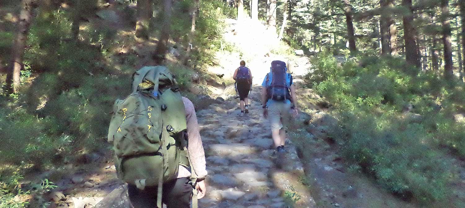 Jungle Walk - Trekking, Adventure Tours and Holiday packages of ...